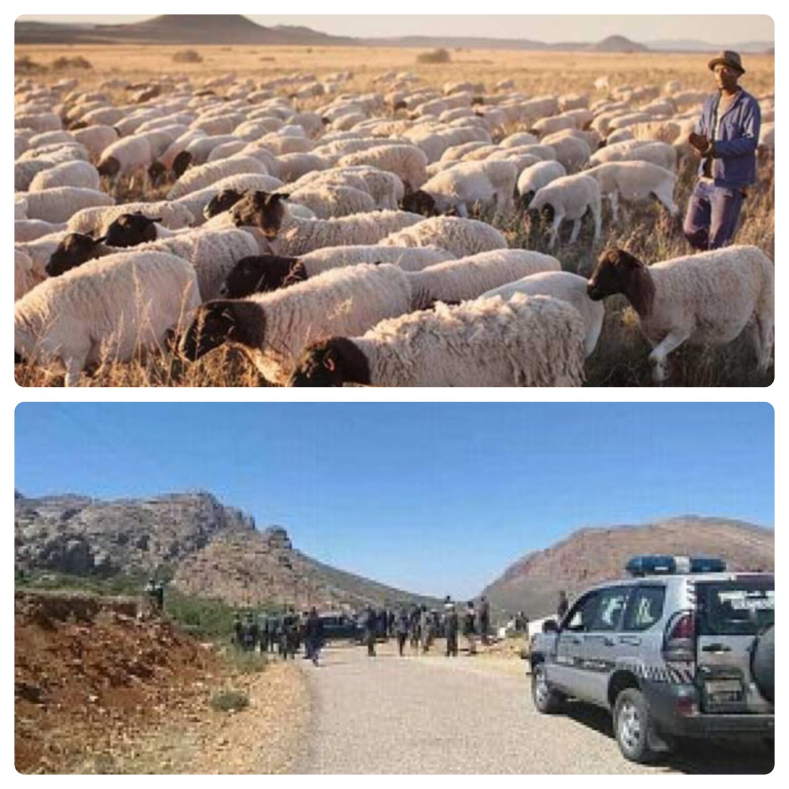 Et rebelote à Zémamra ! Des nomades des zones Sud sèment la panique ...